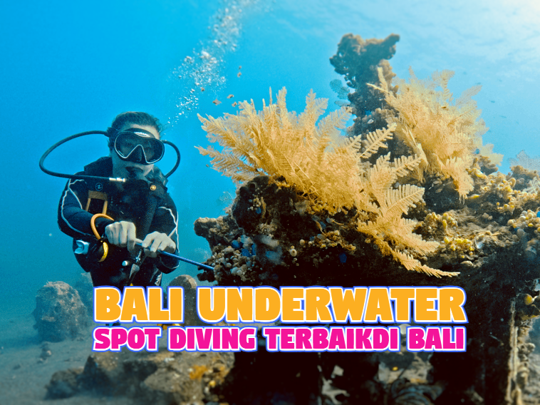 Bali Underwater, Temukan Spot Diving Terbaik untukmu!