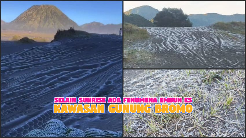 Embun Es, Suhu Ekstrem Bikin Badan Bediding Muncul Bromo