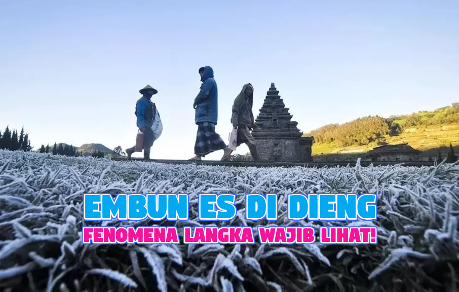 Embun Es di Dieng, Fenomena Langka Wajib Lihat!